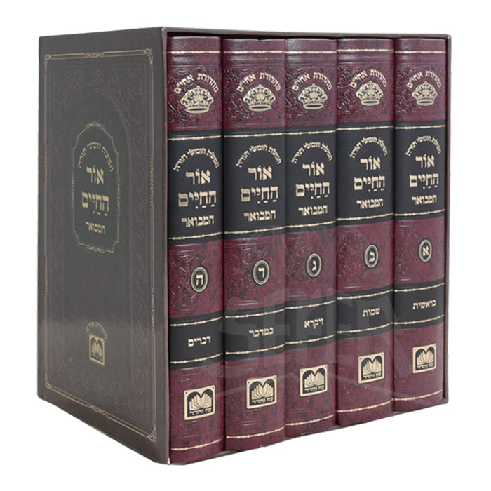 Chumash Ohr HaChaim Hamevuar 5 Volume Set / חומש אור החיים המבואר - 5 ...