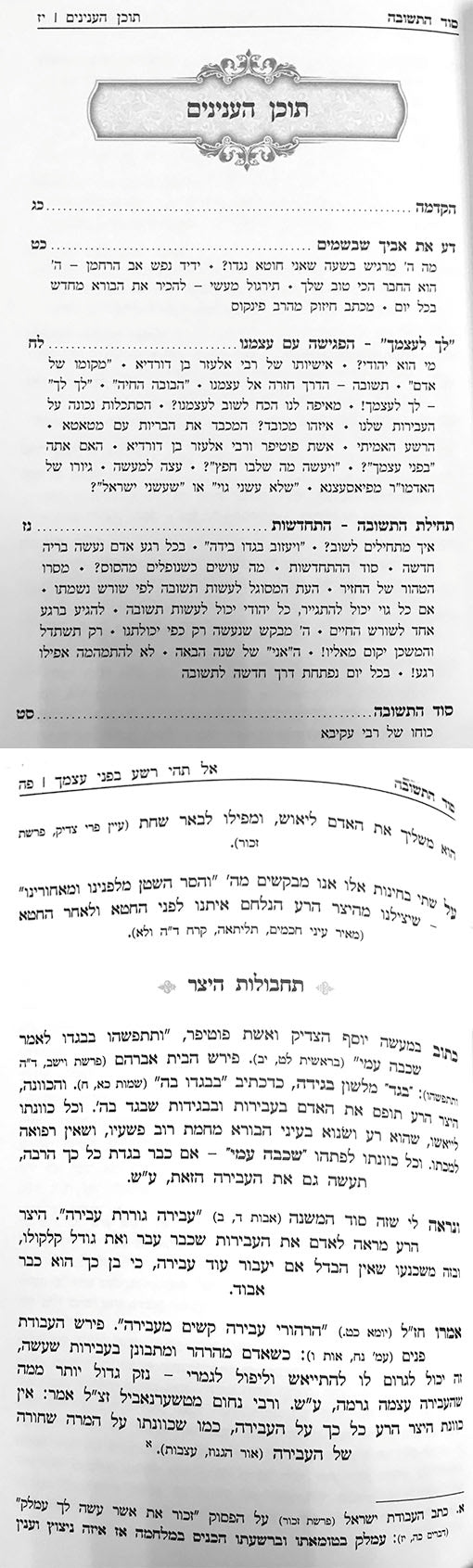 Sod Ha Teshuvah – My Sefer