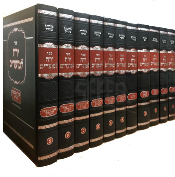 Yerach LeMoadim Set - Rabbi Yerucham Olshin / ירח למועדים שיעורים ומאמ ...