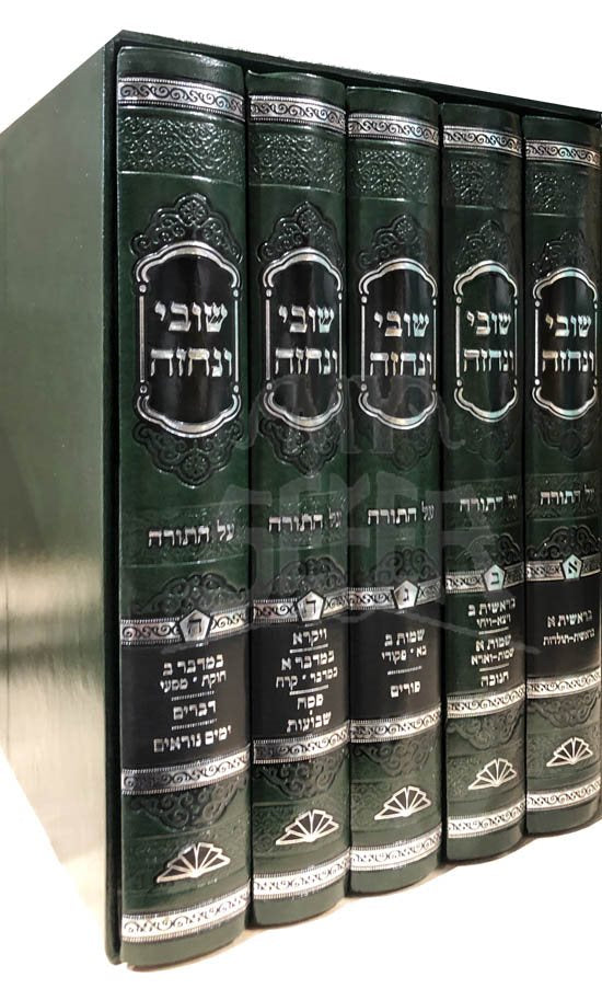 Shuvi VeNechezeh al HaTorah UMoadim (Rabbi Moshe Shapiro) – My Sefer